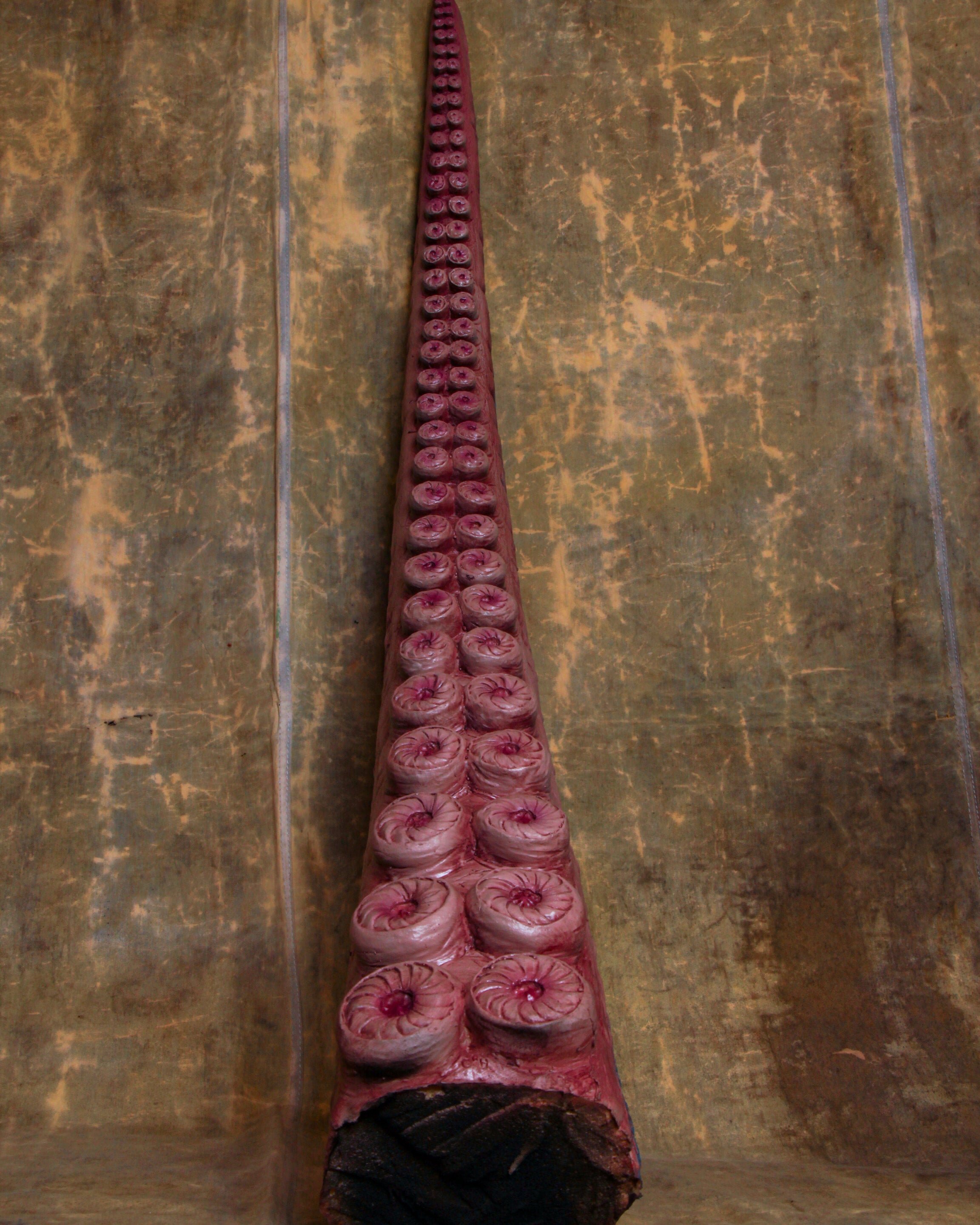 Octopus tentacle prop | Heimwee Antiques